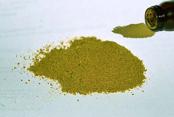 Green Propolis powder – raw propolis from Brazil | Beekeeping ...