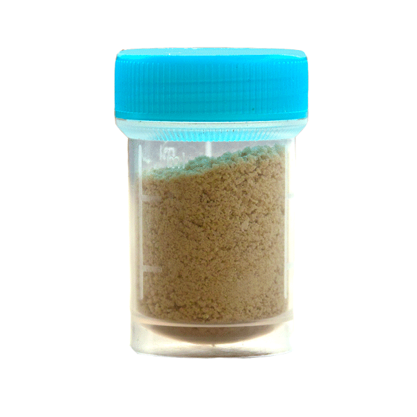 Apilarnil or drone larvae extract | Beekeeping Schachtner | Your ...