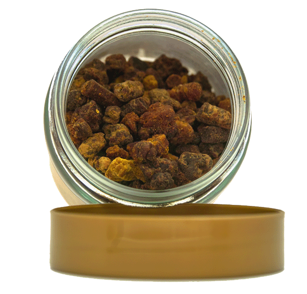 Beebread – Perga – organic quality from India | Beekeeping Schachtner ...